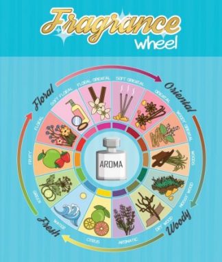 A Beginner's Guide to Fragrance Wheel - Scents Event