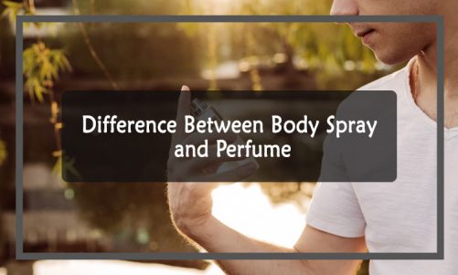 Difference Between Body Spray and Perfume - Scents Event